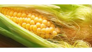 What Are The Different Parts Of Corn On The Cob? [Find Out Here] - Cheffist